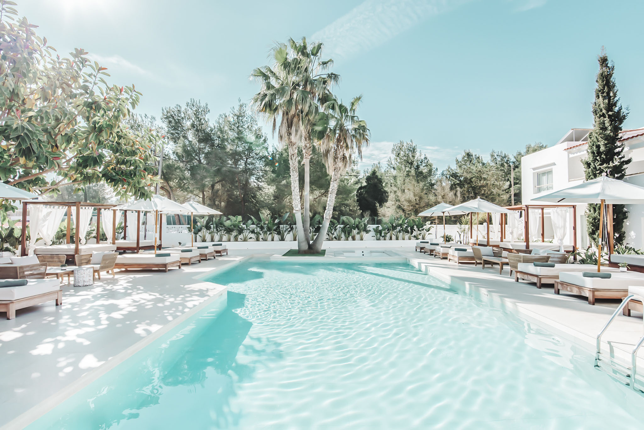 Calma Hotel Group lanza descuentos de hasta el 40% en sus ...